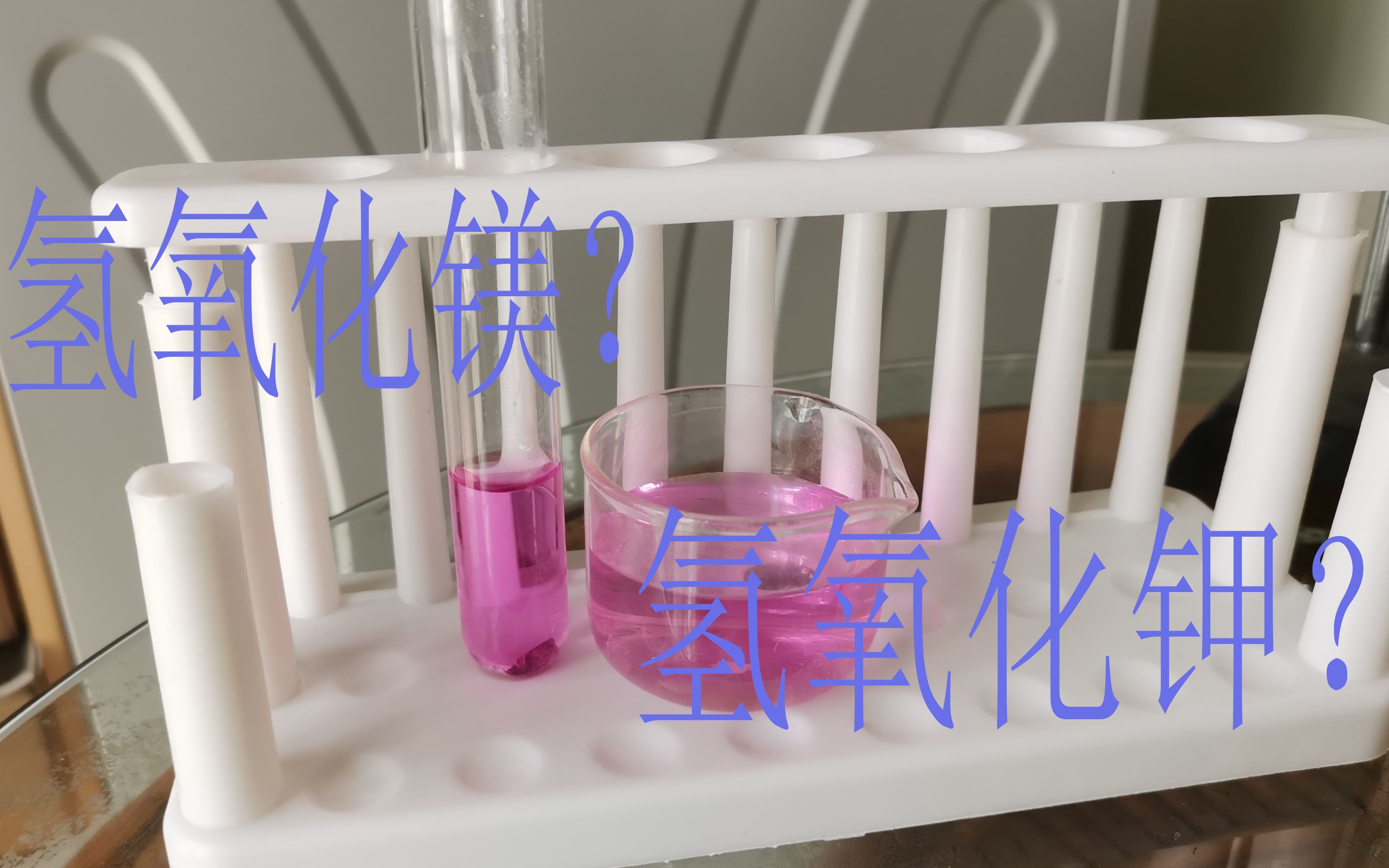 【Gemini实验室 1】:氢氧化镁碱性竟比氢氧化钾碱性还强?UP主亲测!