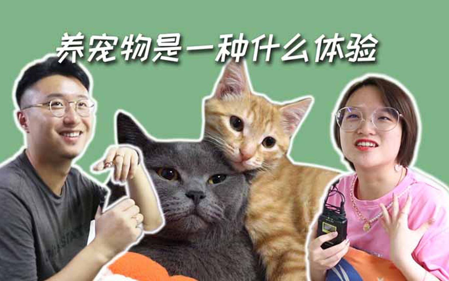 编辑部的日常:养宠物是一种什么体验