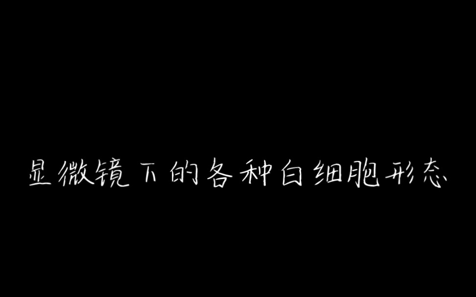 显微镜下的各种白细胞形态