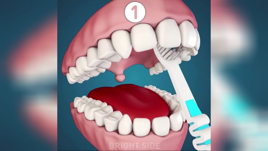 动画揭示如何正确刷牙