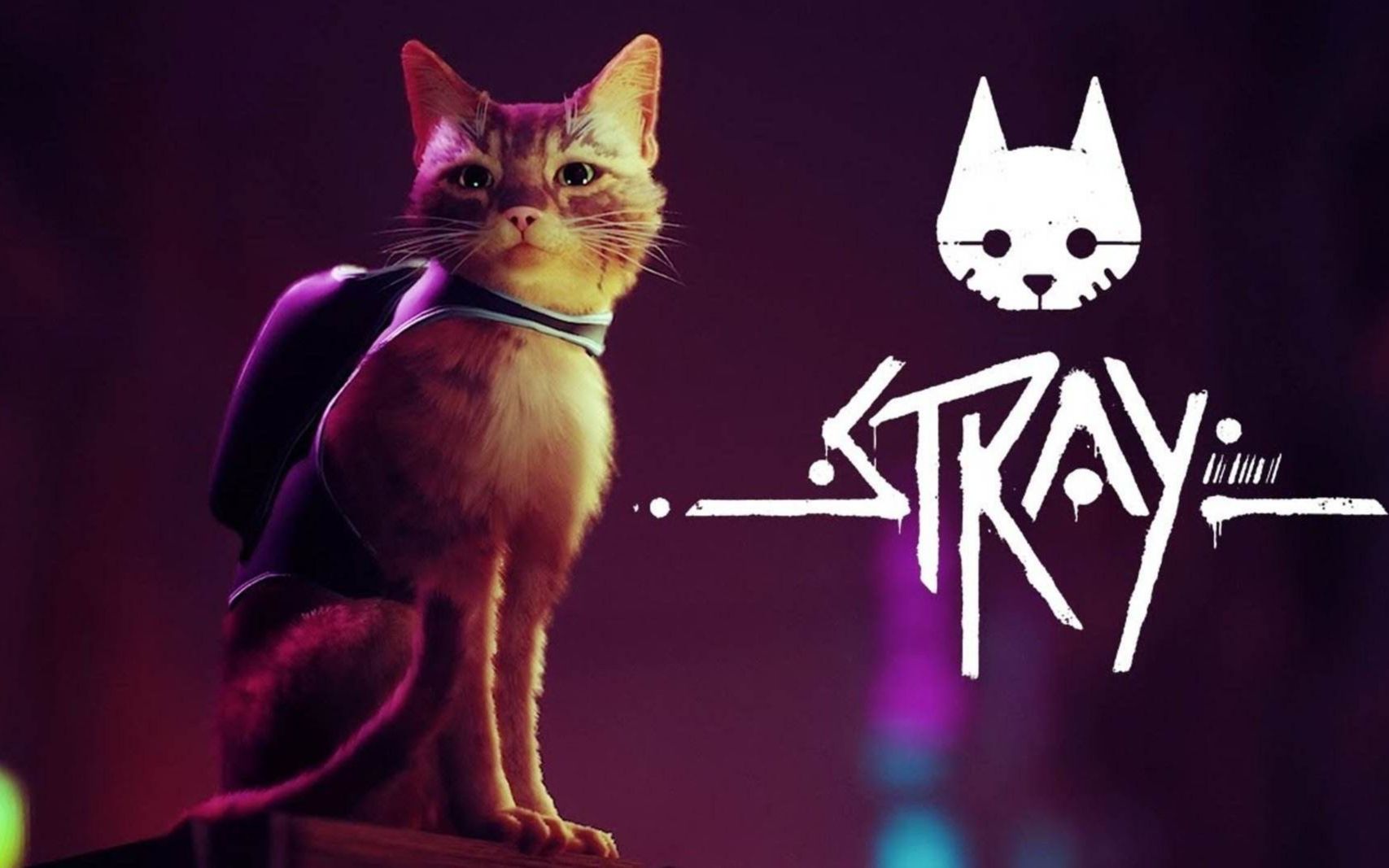 【stray猫猫模拟器】打不开 怎么办hxd们