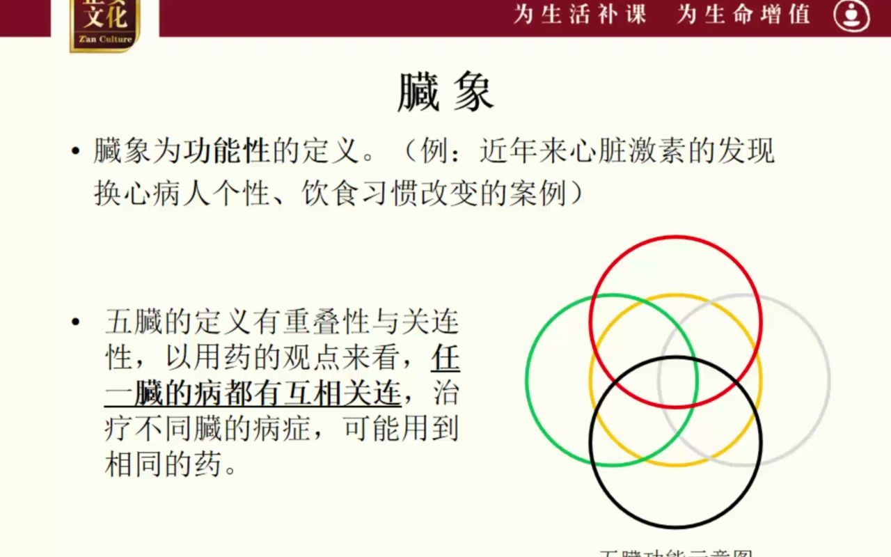 倪海厦老师弟子施合一中医基础 12.中医的臓象和西医的脏器有何区别