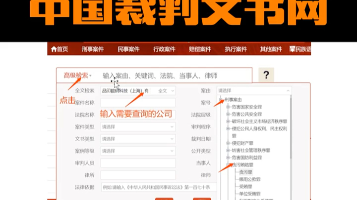 如何正确查询这个中国裁判文书#招投标#工作被调