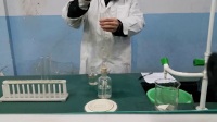 检验氢氧化钠溶液是否变质