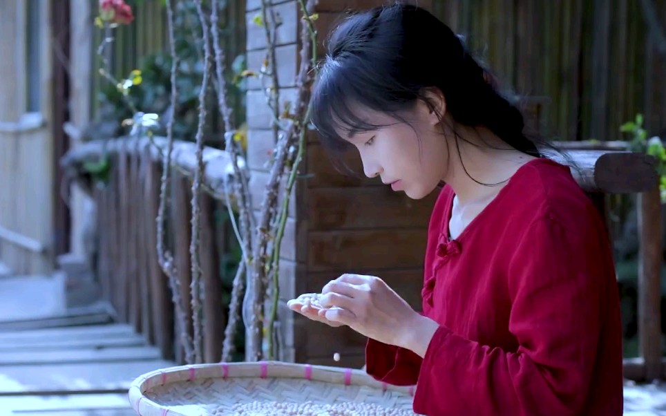 李子柒袁隆平同台,成为丰收节大使