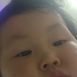 迅捷搜 