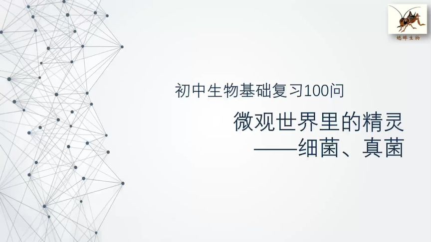 初中生物一轮复习微课22话:微观世界里的精灵——细菌真菌