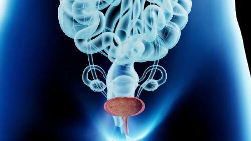 憋尿一时爽,膀胱火葬场!这些后果你可能还不知道