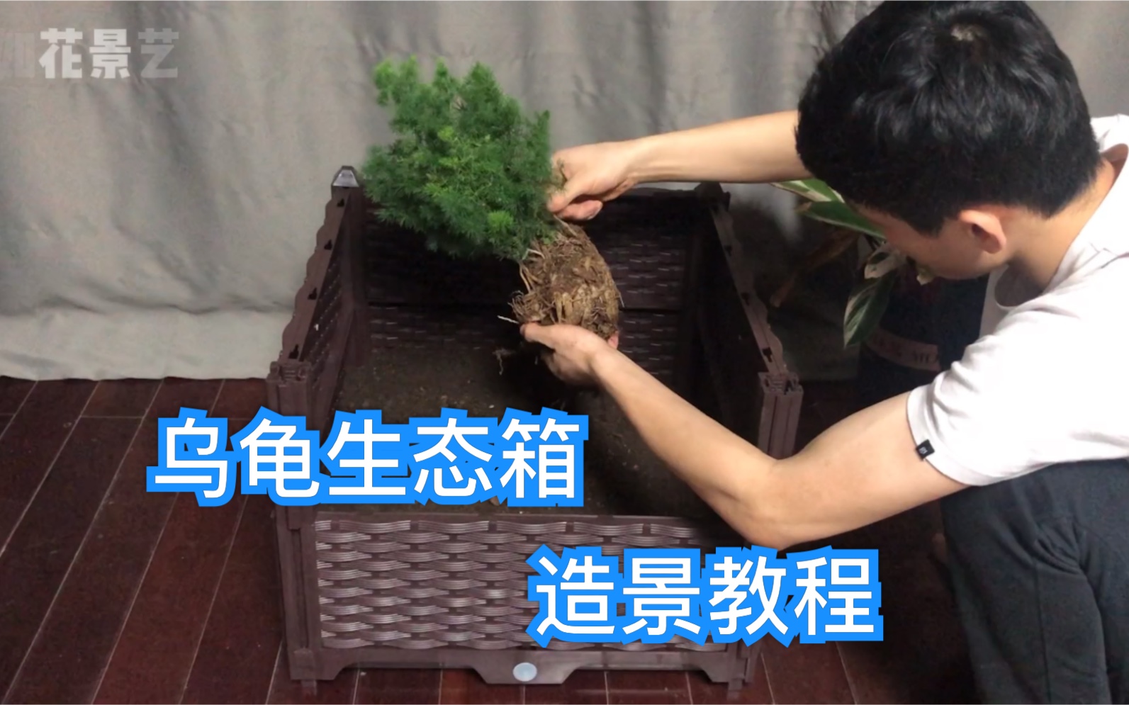 给乌龟造个家,放在阳台、院子,还能观赏。适合(黄缘、箱龟、佛箱、...