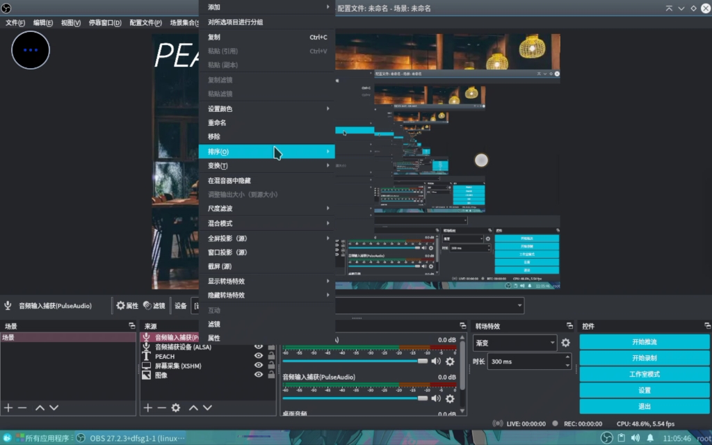 【PEACH】OBS一个简单的教程