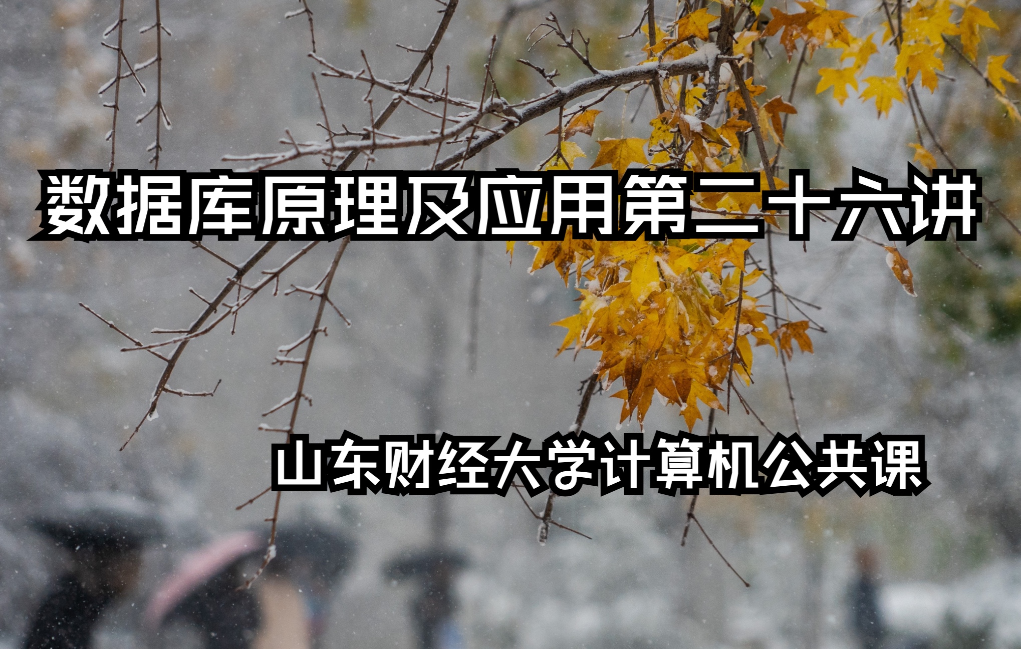 数据库原理及应用第二十六讲-课堂案例-学生管理数据库-实体完整性与...