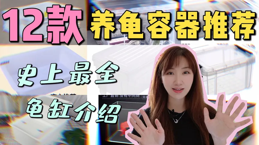 12款好用龟缸大公开,总有一款适合你!新手养龟必看