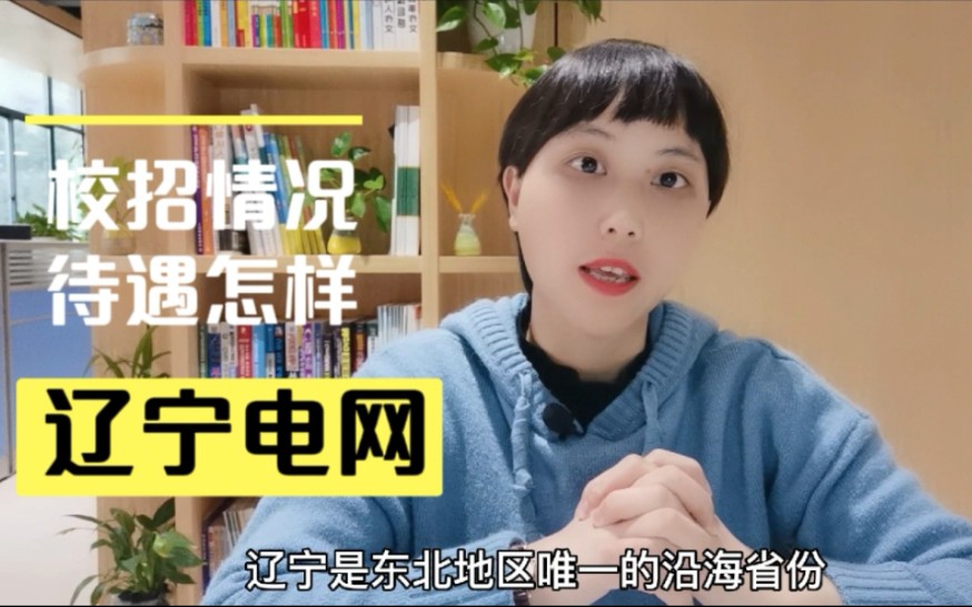 辽宁电网2022年校招情况,待遇怎么样?