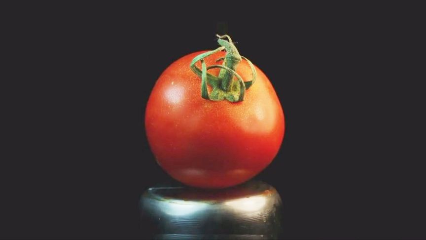 微小世界里也藏着别样的美,带上你的微镜一起观赏