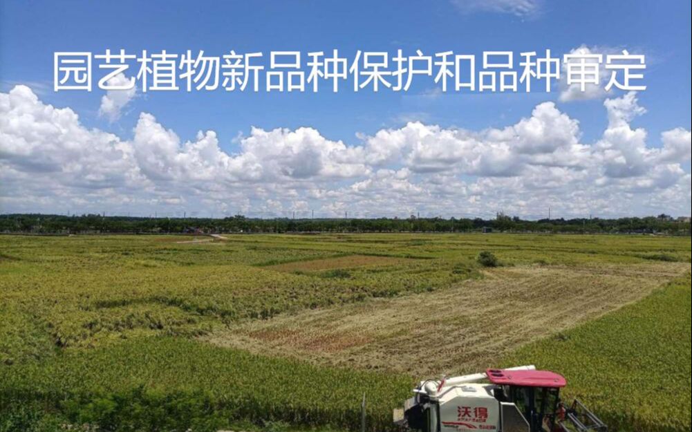 园艺植物新品种保护和品种审定