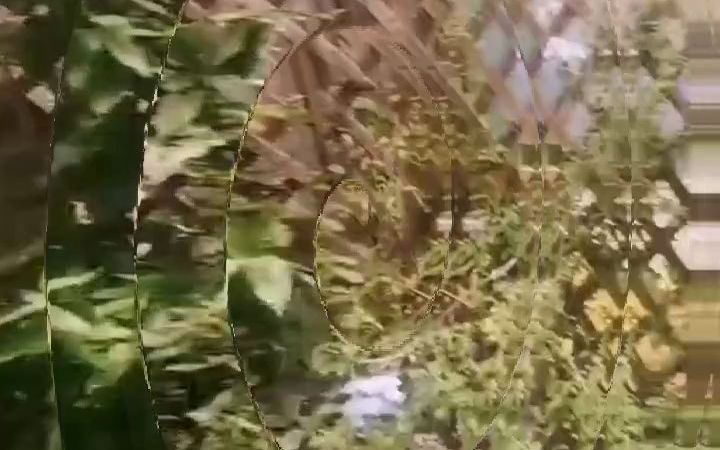 市辖区旧房翻新,免费上门测量,免费咨询! #案例分享 #市辖区案例分享 ...