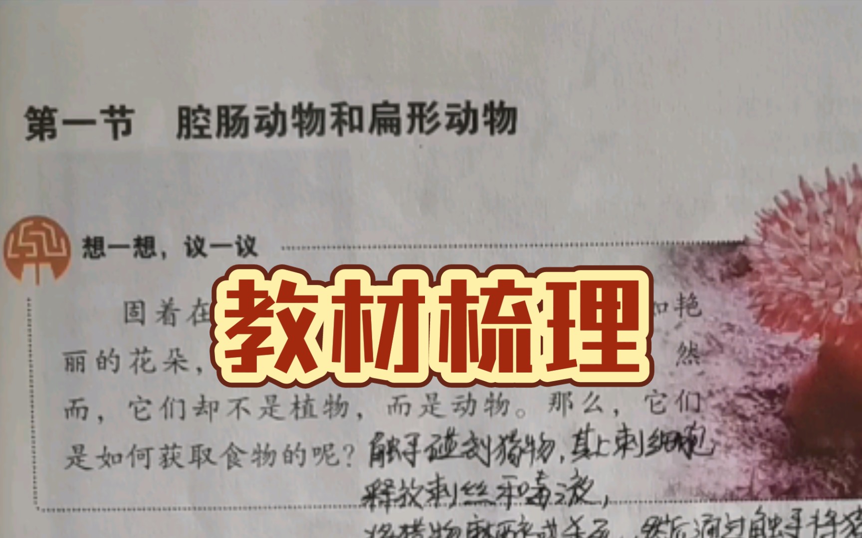 教材梳理//第五单元第一章第一节 腔肠动物和扁形动物(人教版初中生物...