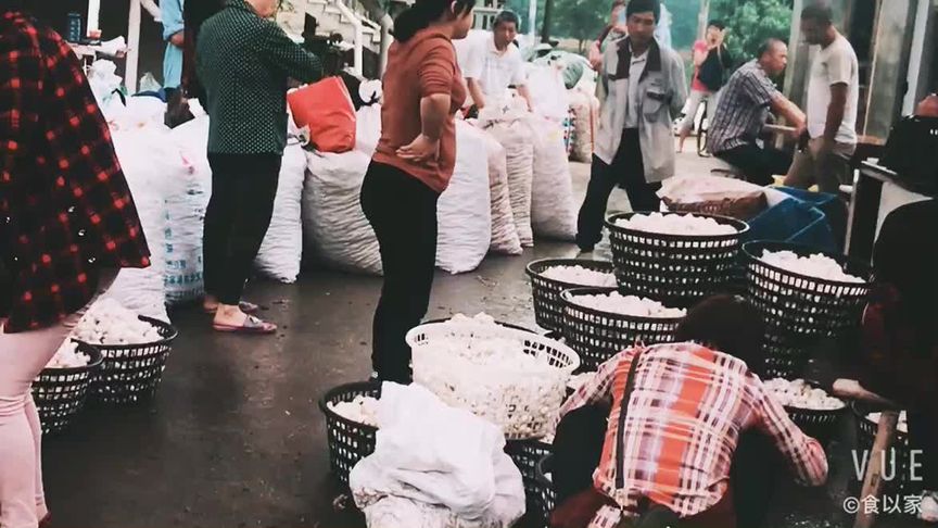 做蚕丝被辛苦的。也能看到养蚕人带着蚕茧来抽丝的满足。