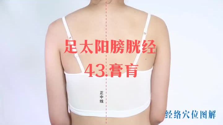 膀胱经之膏肓穴定位