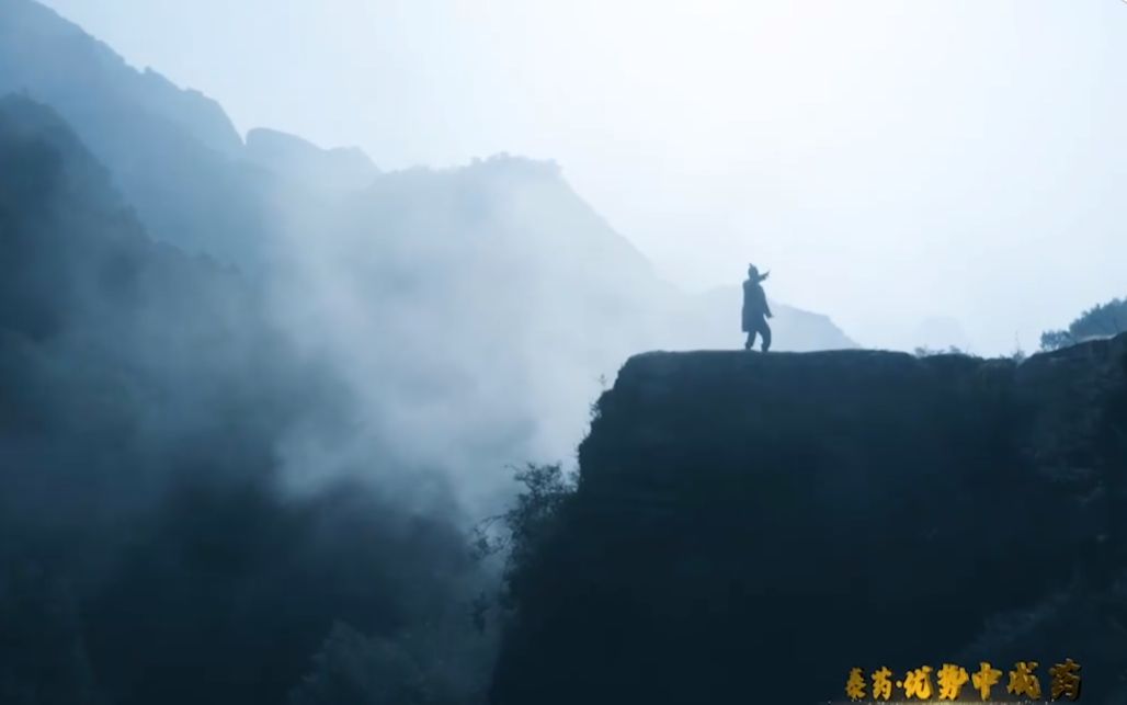 《秦药》记录陕西中医药发展 走进幸福制药了解生血宝合剂