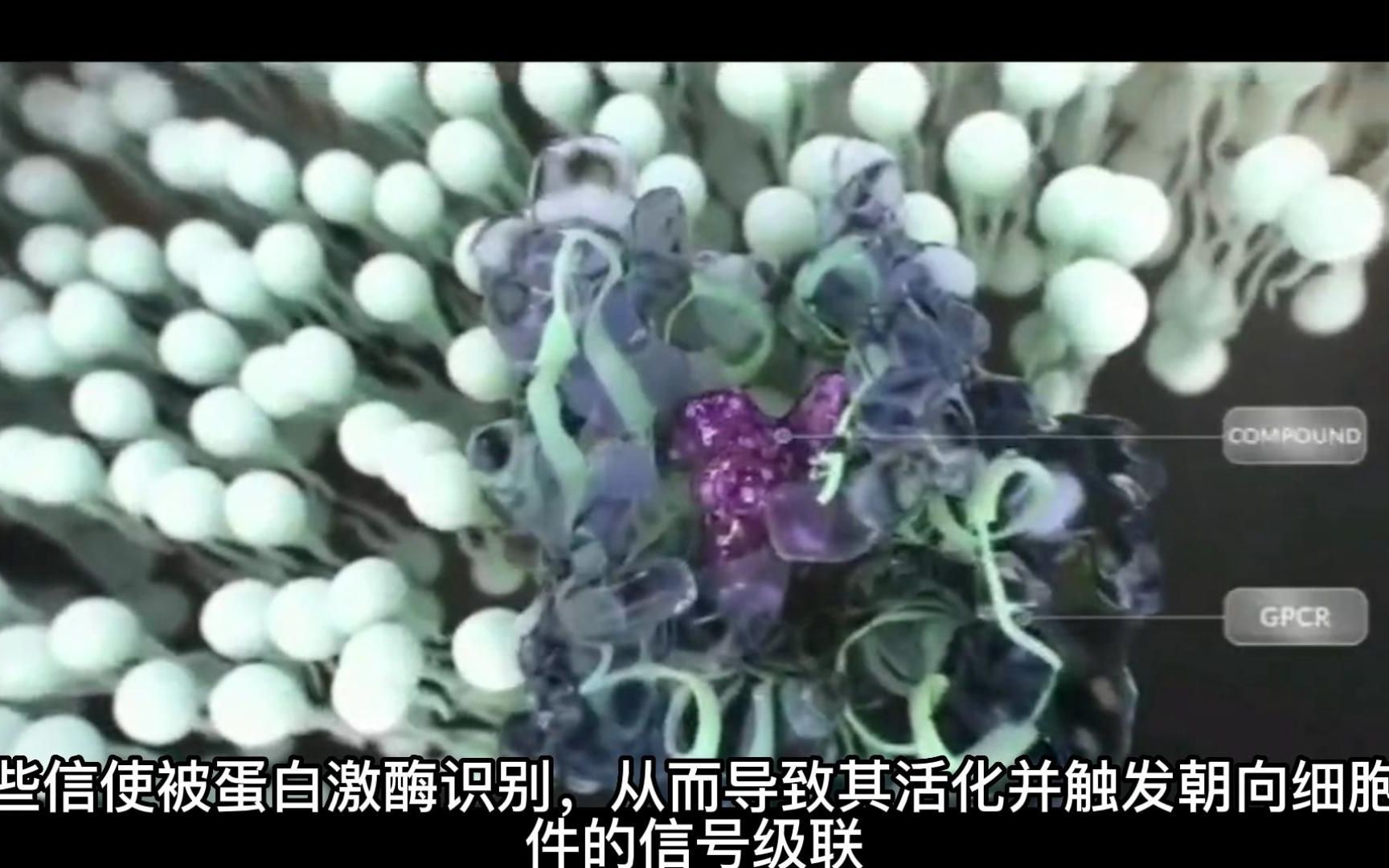 震惊!他们终于对神兽下手了,GPCR与纳米抗体强强联合