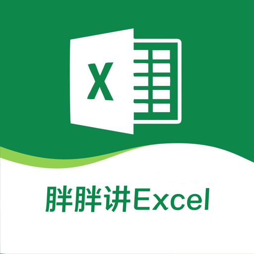 胖胖讲Excel 