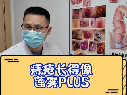 痔疮长得像莲雾PLUS
