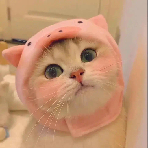 噗噜噗噜噜_ 