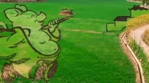 这稻田画设计师也太厉害了,绝对没有第二个人可以做到