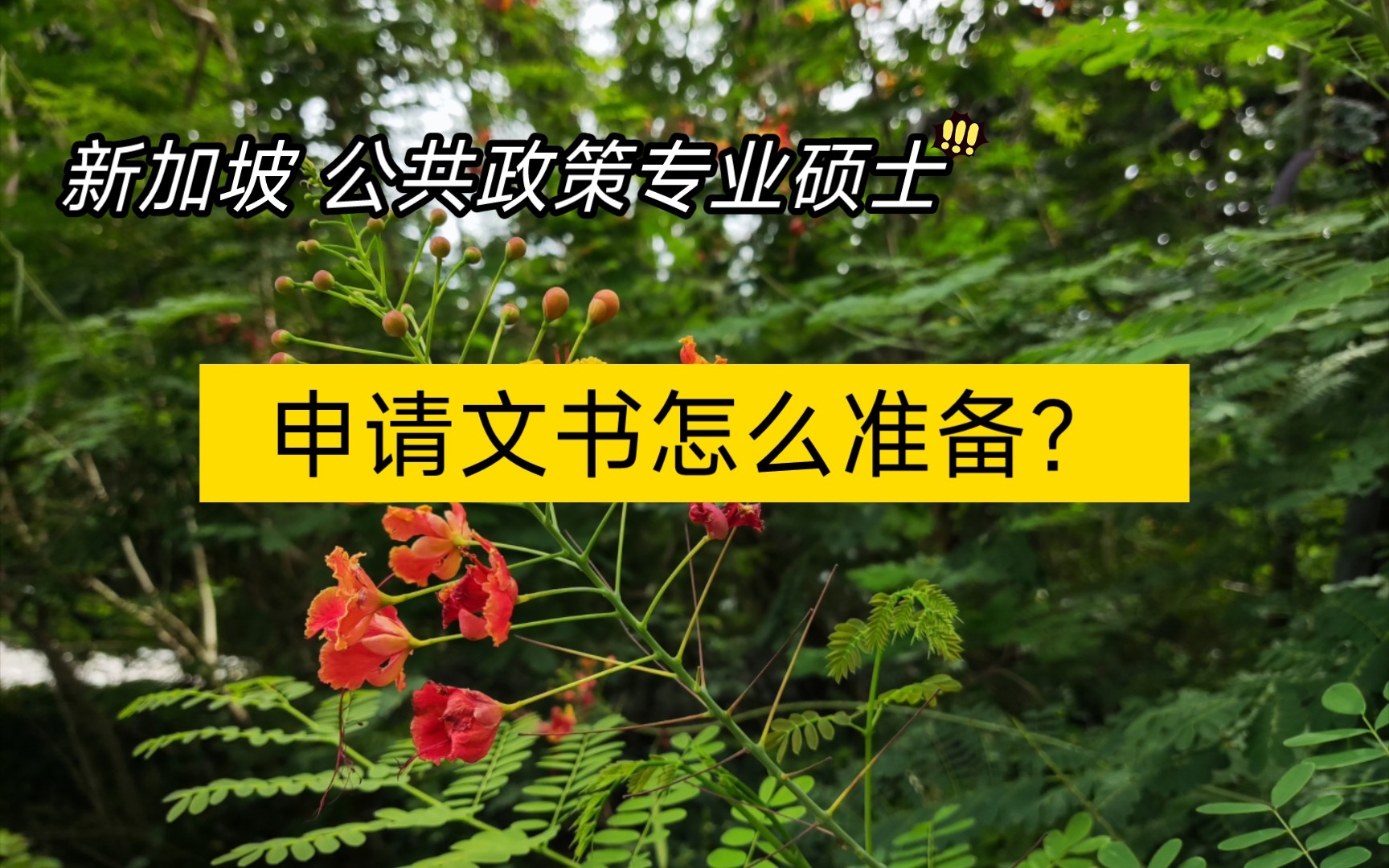 新加坡国立大学公共政策专业硕士文书准备经验分享|MPP申请通用