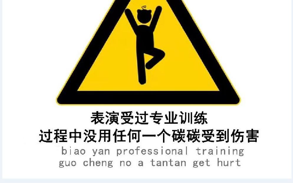 【捏碳】我给碳碳和花花做了身份证?(要素溢出)