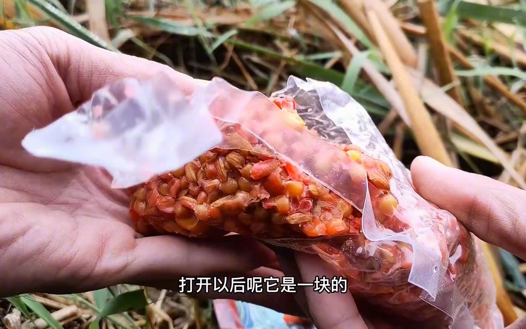 走水谷麦钓该怎么弄这个方式你觉得怎么样,冲钓版谷麦钓#钓鱼