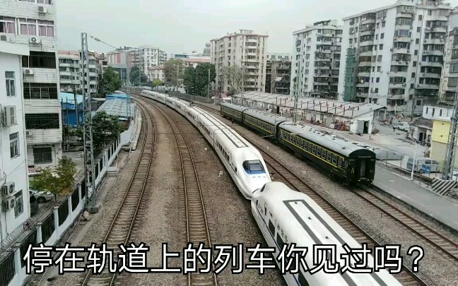 动车也存在让速让道吗?为什么停在轨道上不走了?是不能提前进站吗?