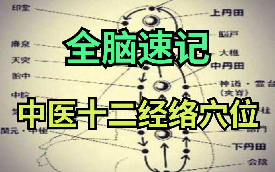 中医经络穴位全脑速记十二正经,奇经八脉,考研必背针灸歌诀,轻松背诵...