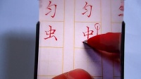 张硬笔书法2021.2.9第十九课(1):复习两种提画及例字-刁习匀虫,学习...