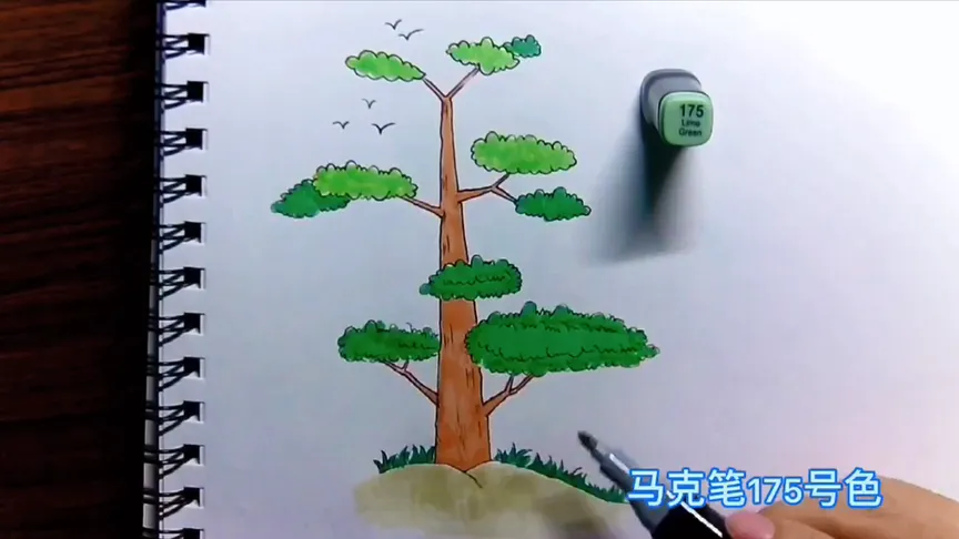 简笔画儿童画大全33.手绘树的画法,在家就能学画画