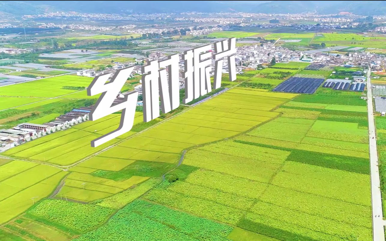 无智慧,不农业 | 培养「领头雁」,促进智慧农业高质量发展