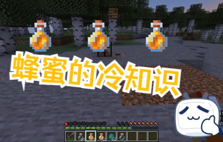 我的世界蜂蜜的冷知识你知道哪些?