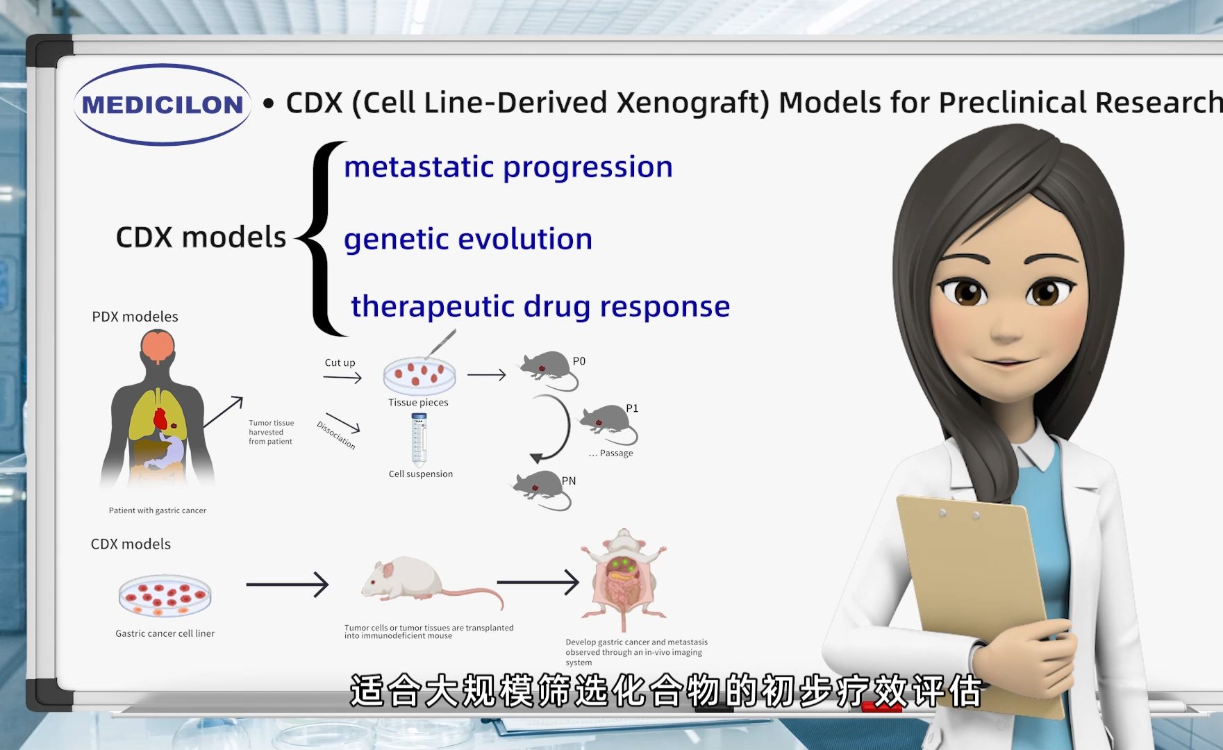 【美迪西请回答】人源肿瘤细胞系异种移植(CDX)模型在临床前研究中...