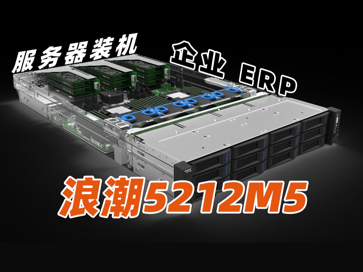 【浪潮5212M5】用最少的钱,帮粉丝装一台ERP服务器!