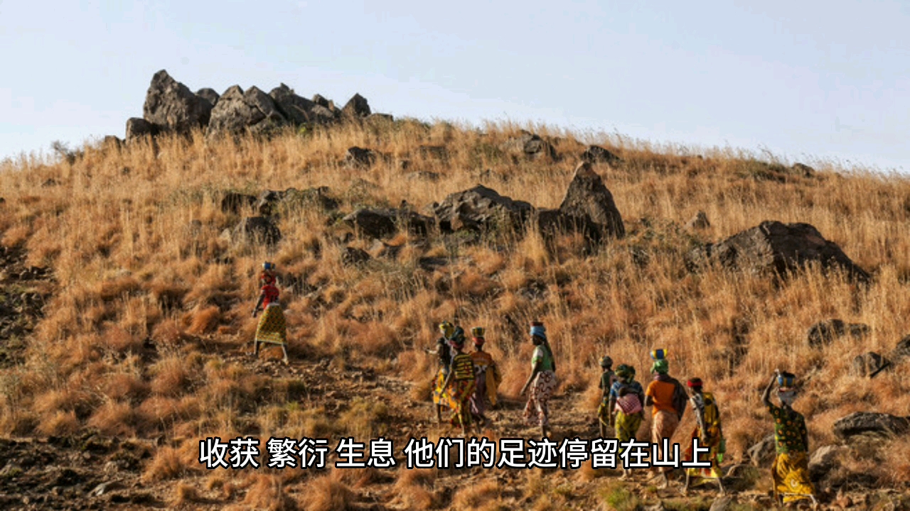 【AI生成视频】稻·源·启明——浙江上山文化考古特展