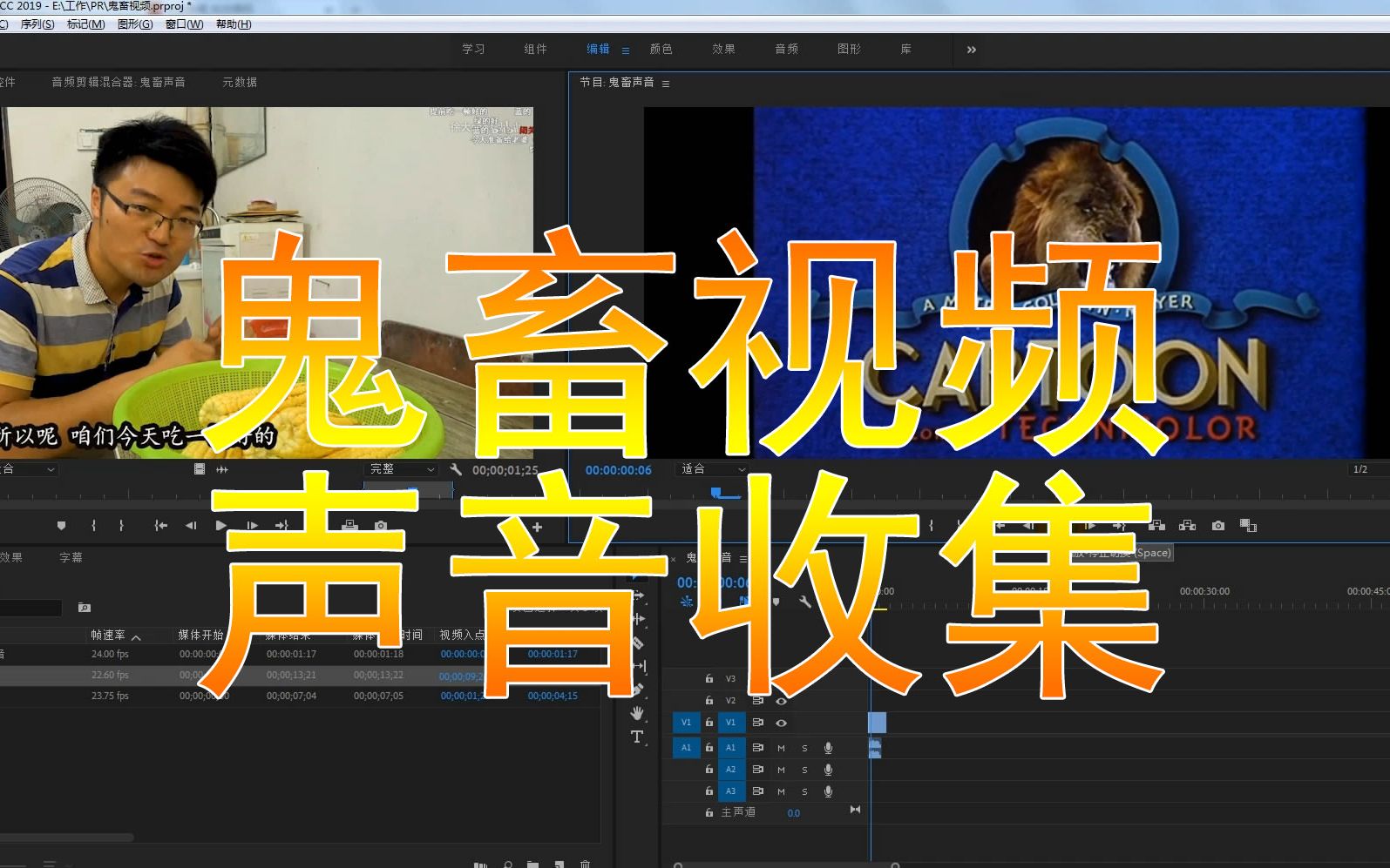 【PR基础教程】鬼畜视频的声音收集处理讲解,积累很重要