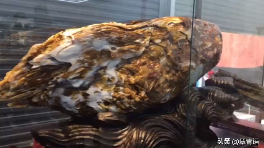 神奇的树化玉,大自然的鬼斧神工