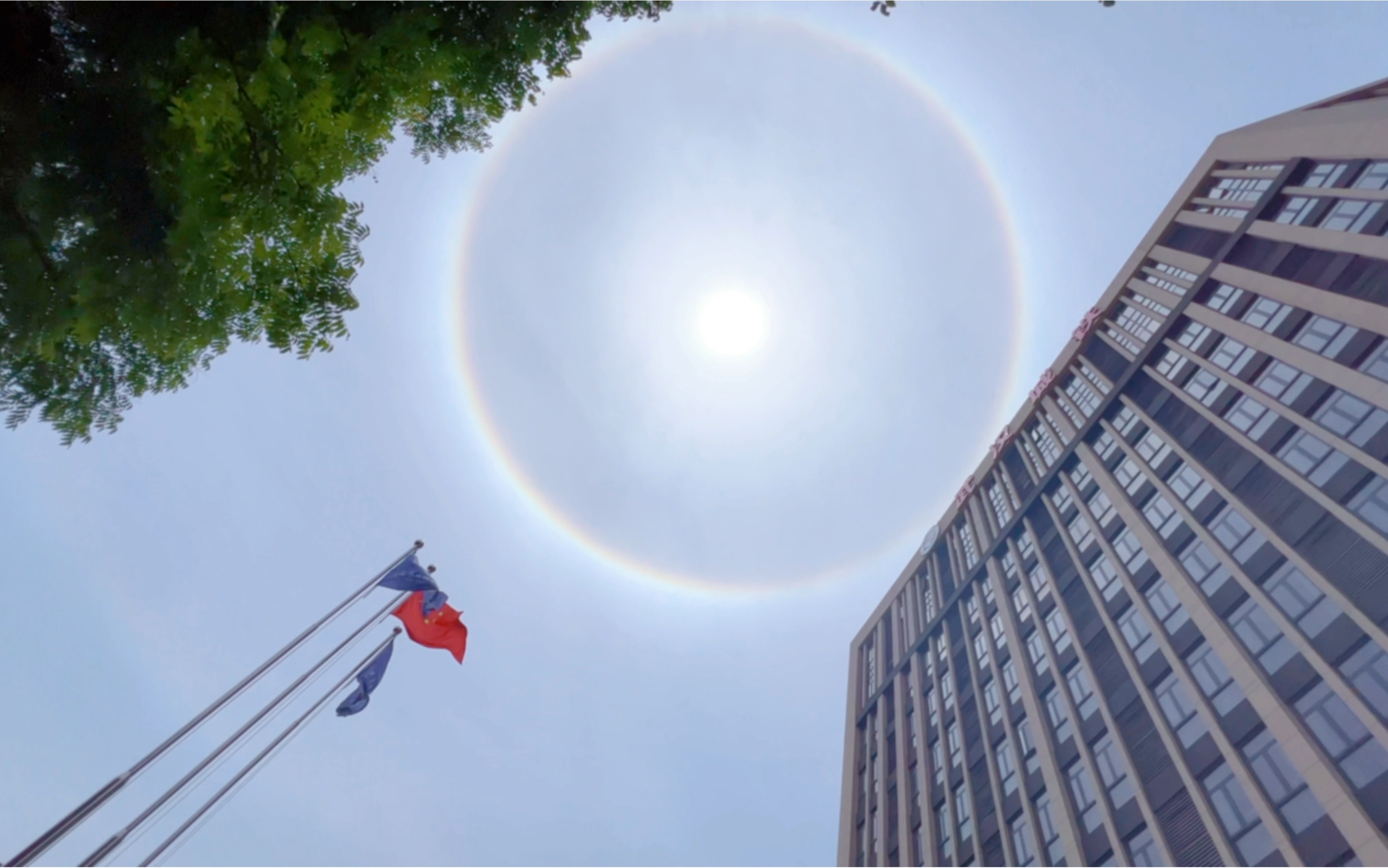 武汉市城铁技工学校美晕啦
