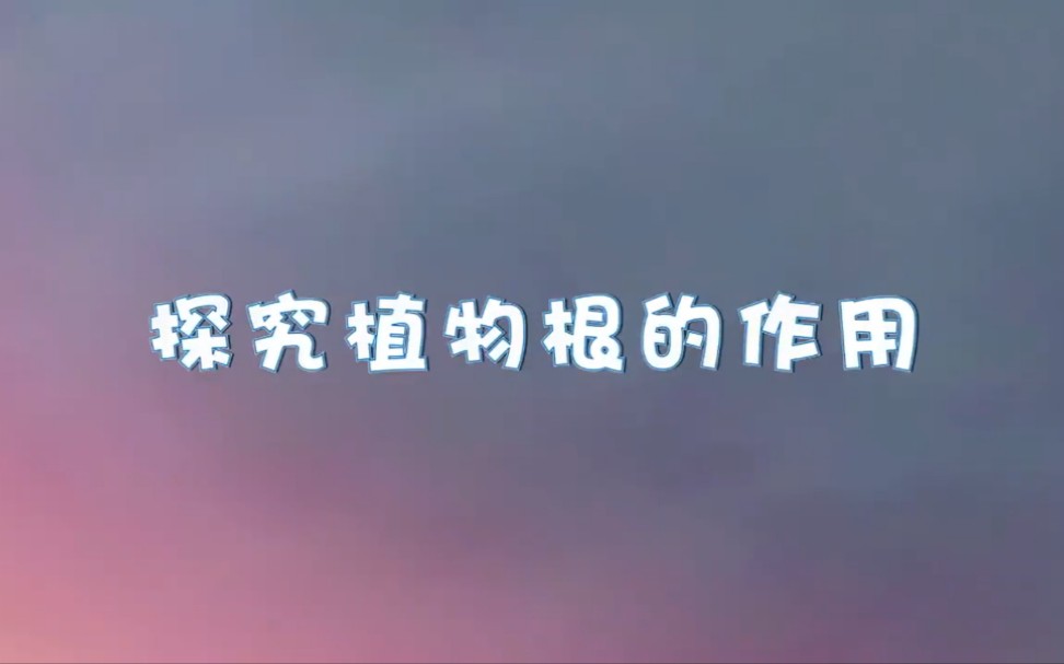 探究植物根的作用