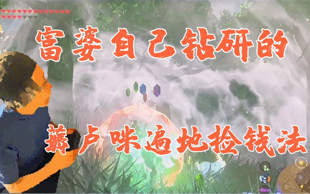 我妈打塞尔达:冰冻卢咪生财法