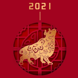 和叔侃球 