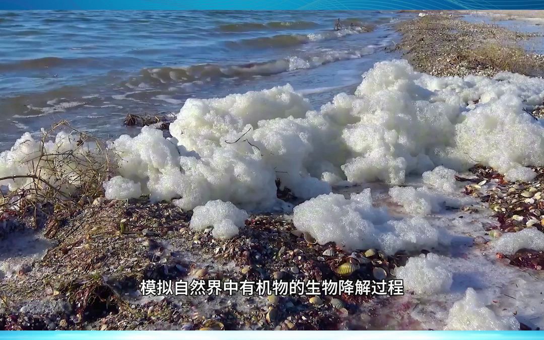 BOD测定仪——可快速评价水质