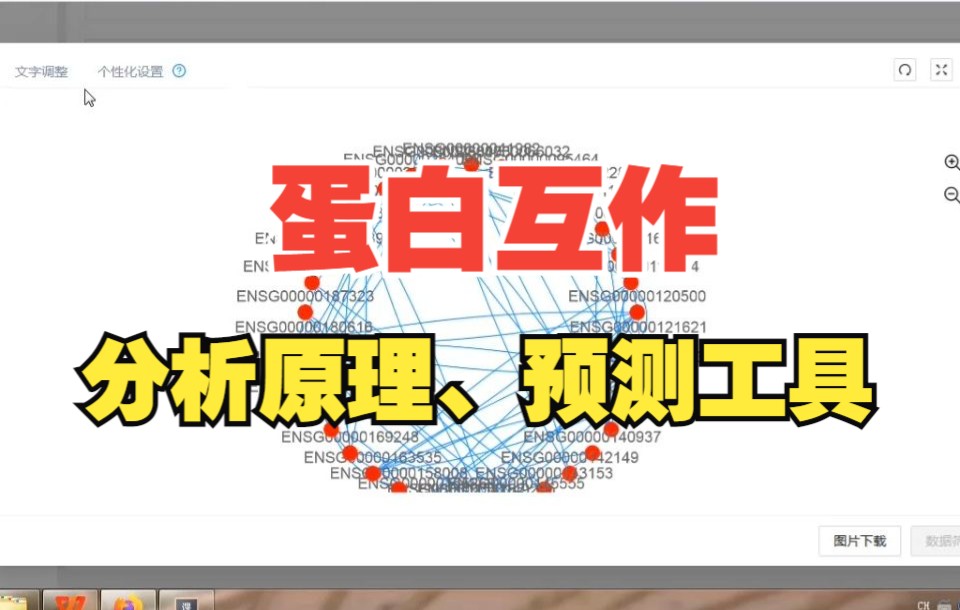 蛋白互作分析原理_筛选预测图绘制软件网站【百迈客生物】