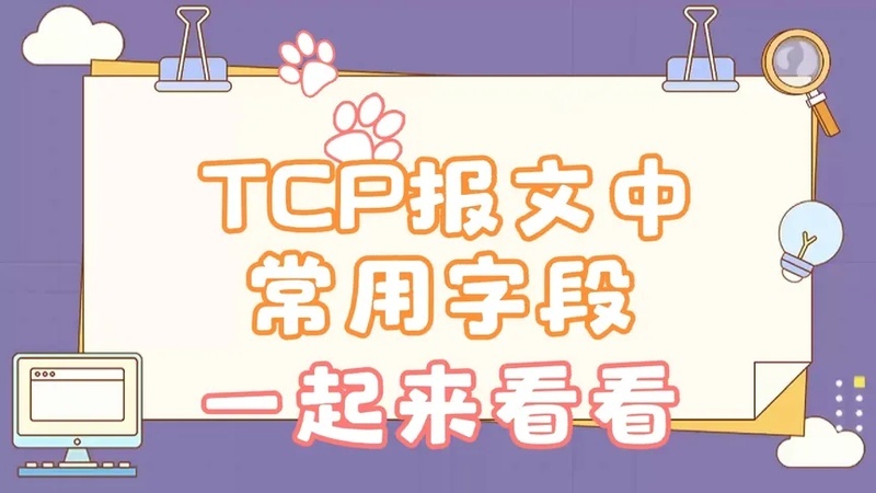 TCP报文中的常用字段有哪些,一起来看看